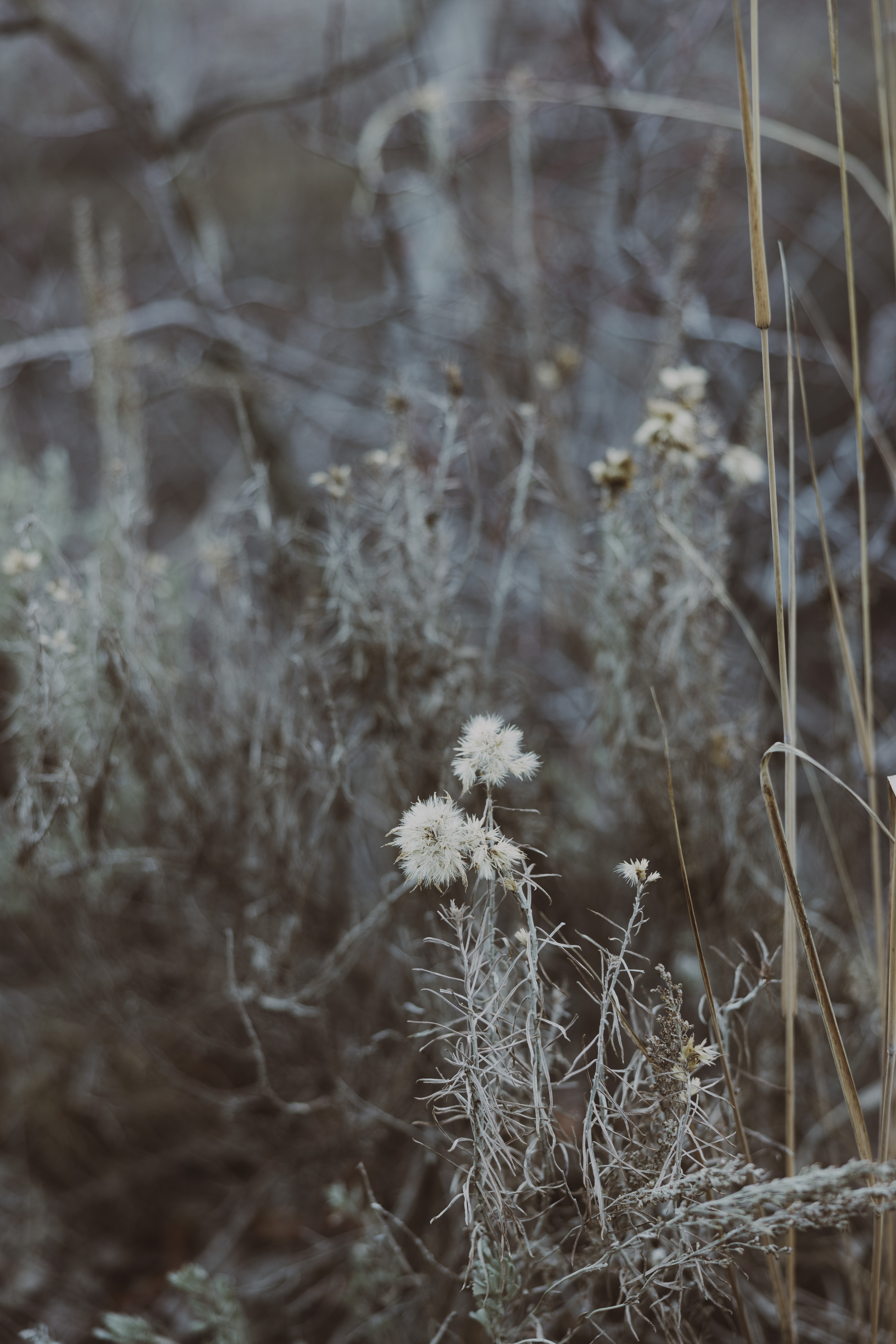 Forterra - Developing life-saving autonomy technology for the ...